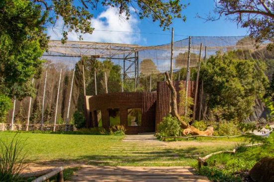 Fuimos a conocer el Aviario del Parque Tricao con el nuevo Huawei P30 Pro